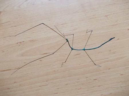 Ramulus nematodes blue :: aqua-tera